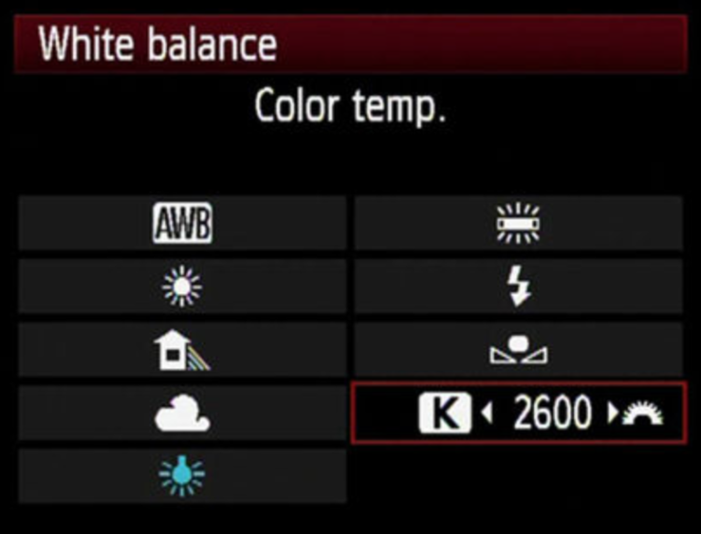 How To Set a Custom White Balance to Achieve Perfect Whites